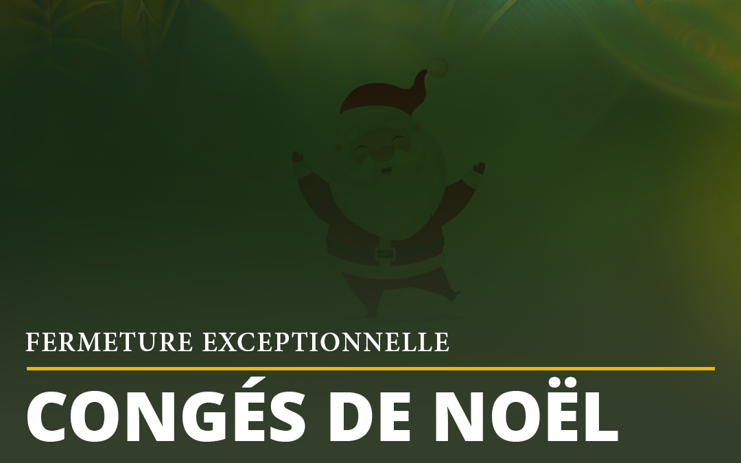 Congés de Noël - Saine Ouverte